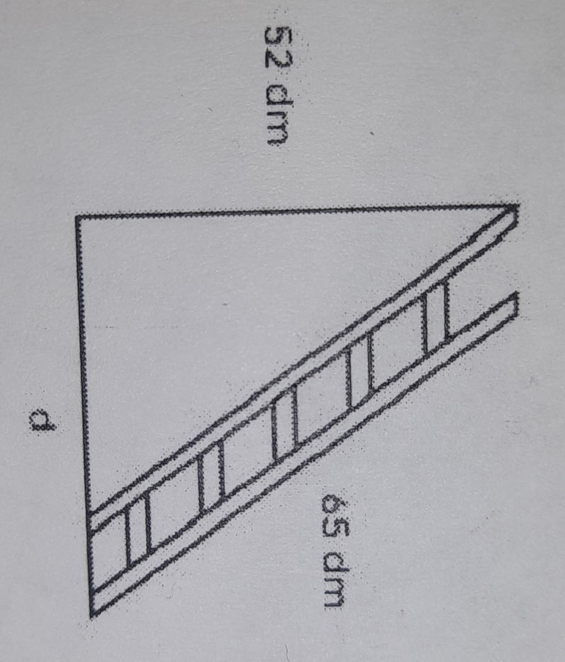 The image shows a right triangle with a | StudyX