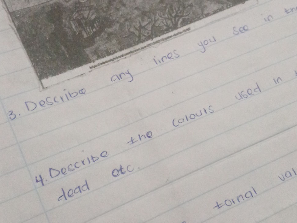 3. Describe any lines you see in the 4. | StudyX