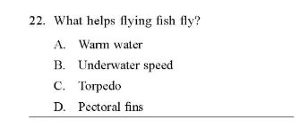 22. What helps flying fish fly? A. Warm | StudyX