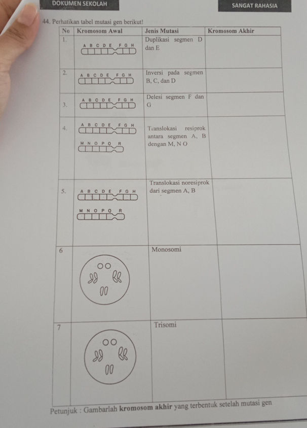 44. Perhatikan tabel mutasi gen berikut! | | StudyX