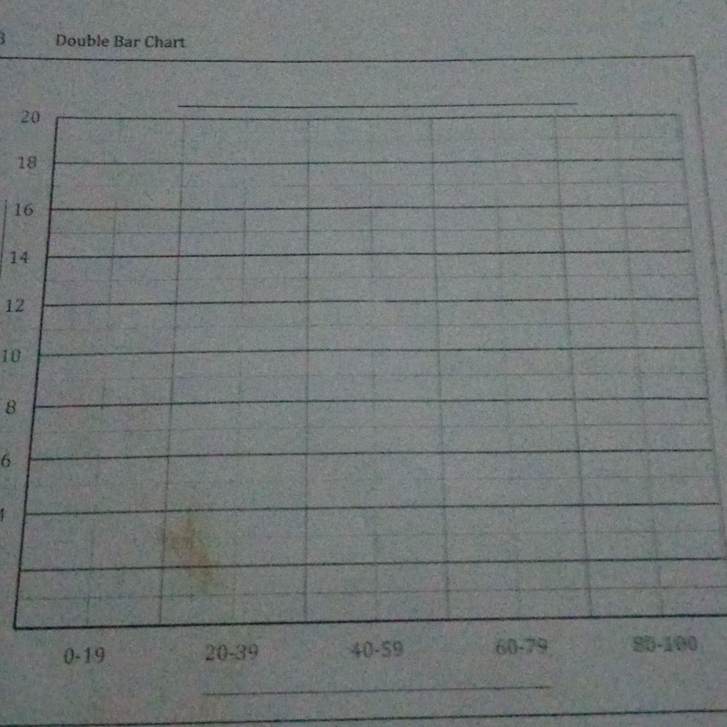 Double Bar Chart 0-19 20-39 40-59 60-79
