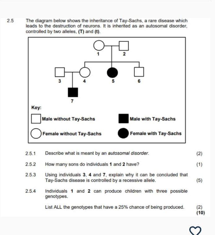 2.5 The diagram below shows the inheritance | StudyX