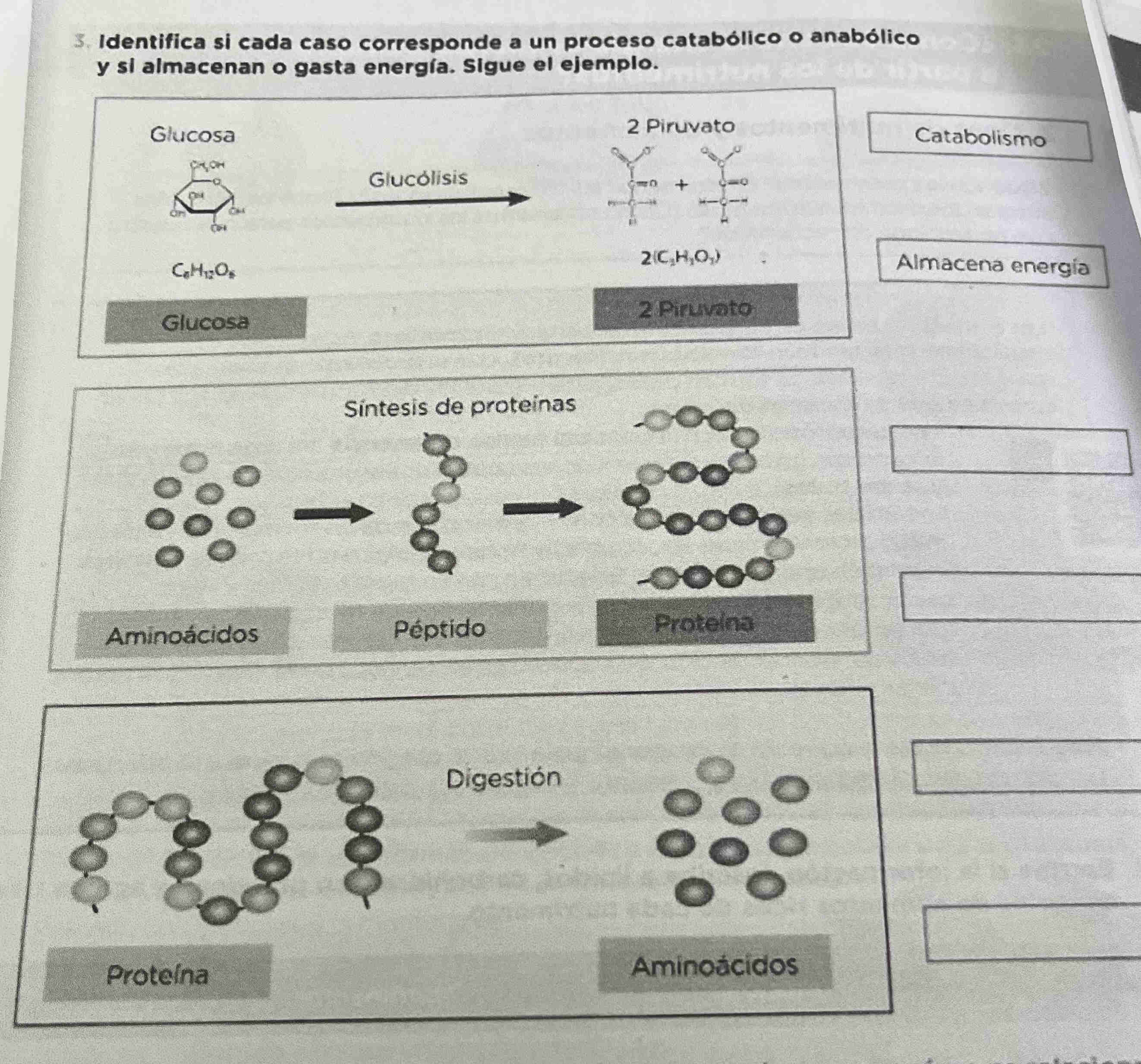 3. Identifica si cada caso corresponde a un | StudyX