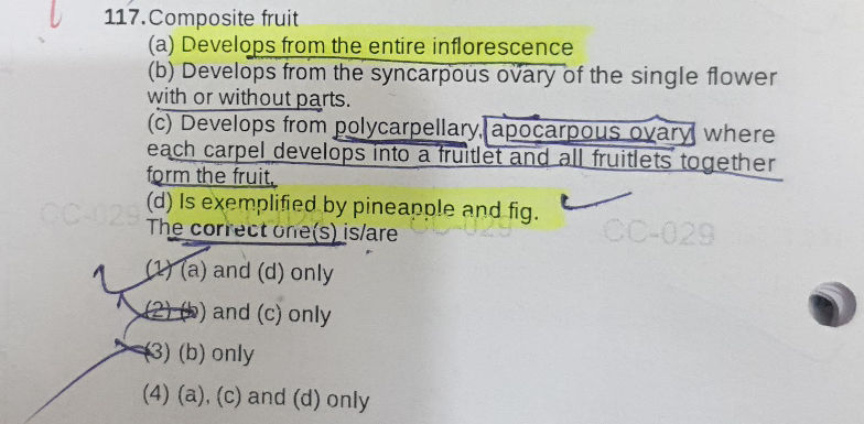 117. Composite fruit (a) Develops from the | StudyX