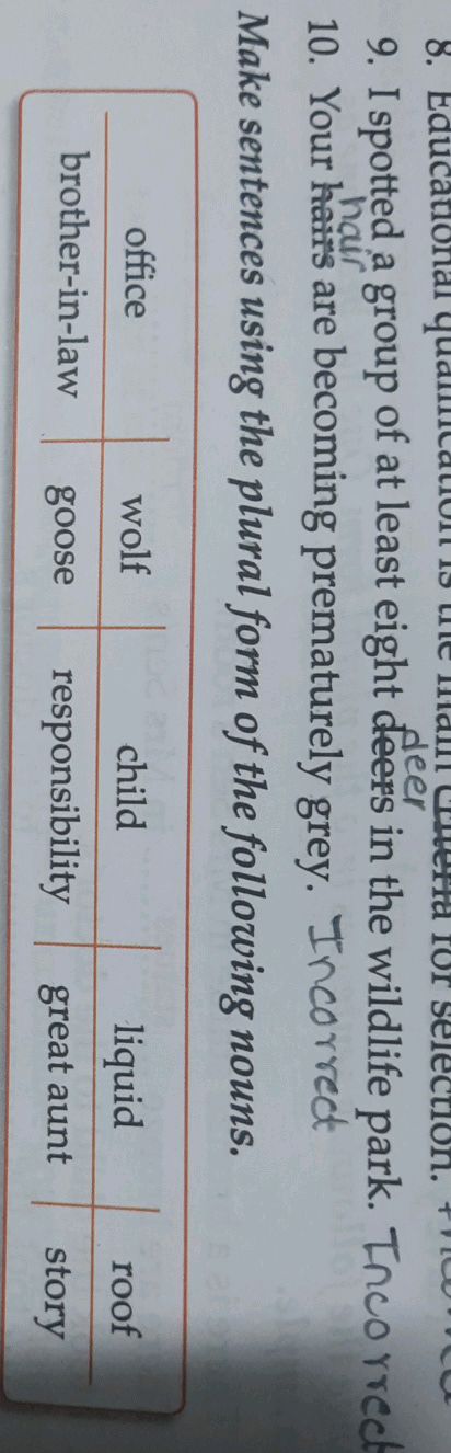 Make sentences using the plural form of the | StudyX