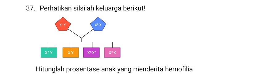 37. Perhatikan silsilah keluarga berikut! | StudyX
