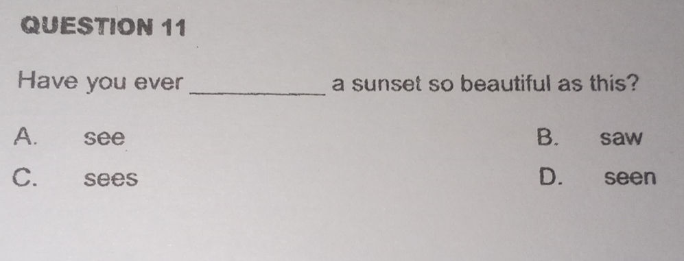 Have you ever ______ a sunset so beautiful | StudyX