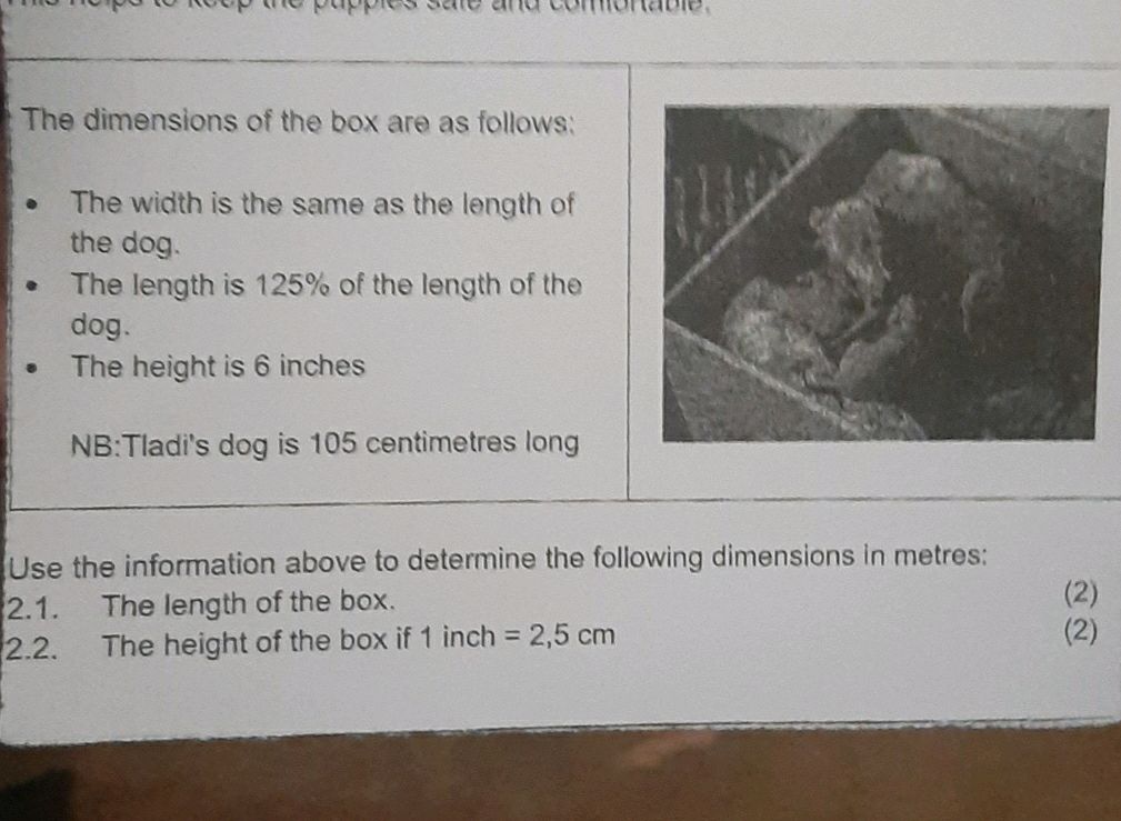 The dimensions of the box are as follows: * | StudyX