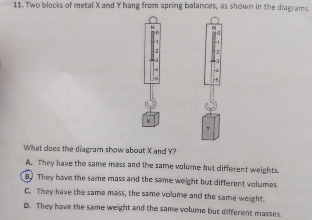 11. Two blocks of metal X and Y hang from | StudyX