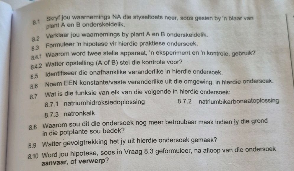 8.1 Skryf jou waarnemings NA die styseltoets | StudyX