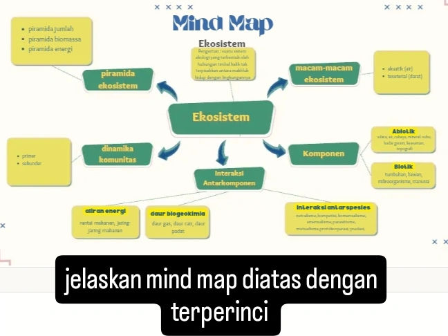 jelaskan mind map diatas dengan terperinci | StudyX