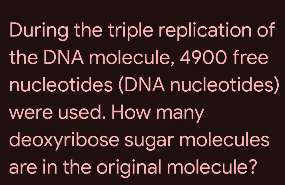 During the triple replication of the DNA | StudyX