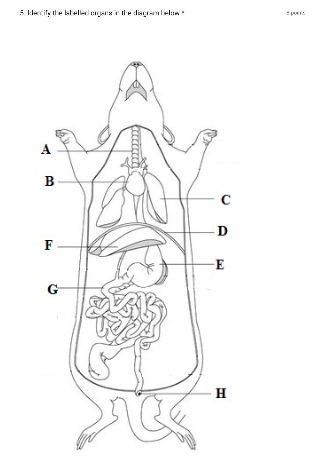 5. Identify the labelled organs in the | StudyX