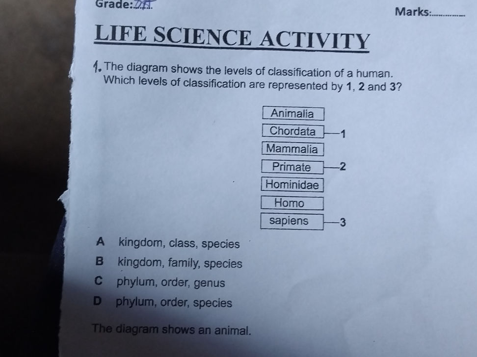 1. The diagram shows the levels of | StudyX