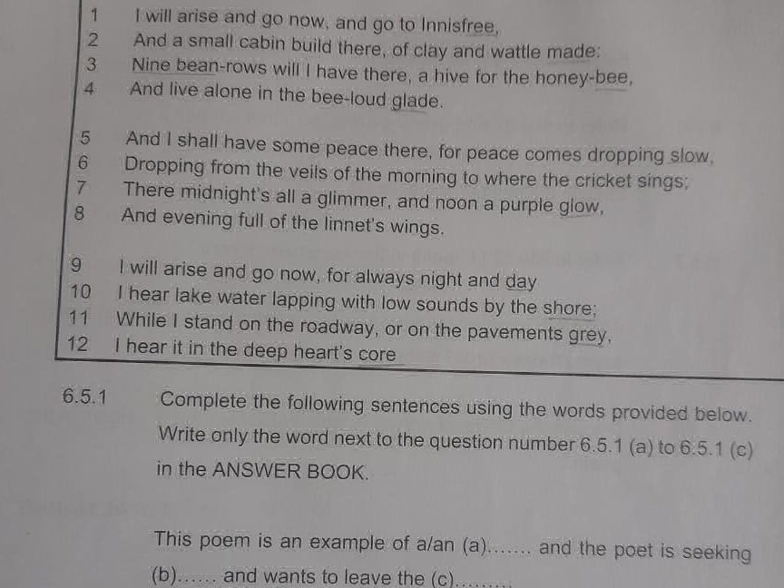 Complete the following sentences using the | StudyX