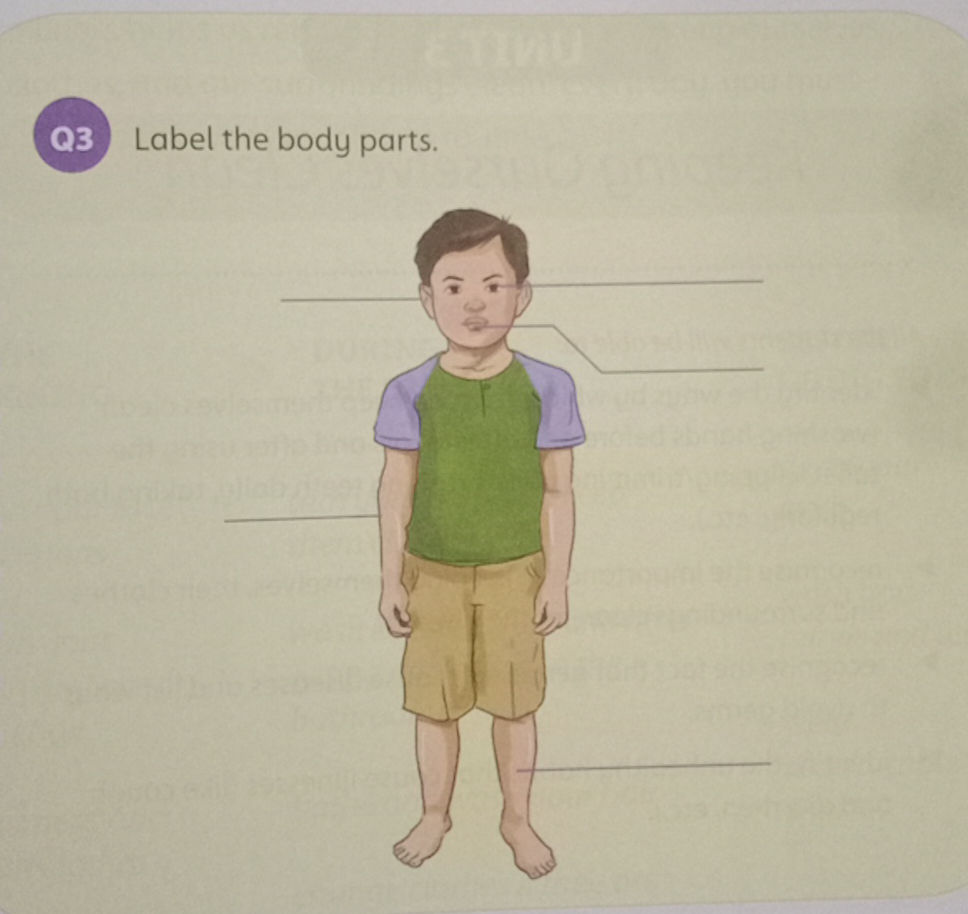 Q3 Label the body parts. The image contains | StudyX