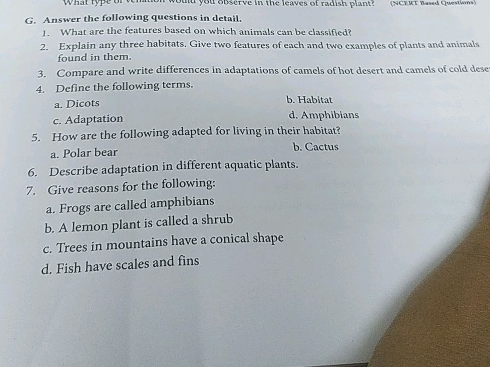 G. Answer the following questions in detail. | StudyX