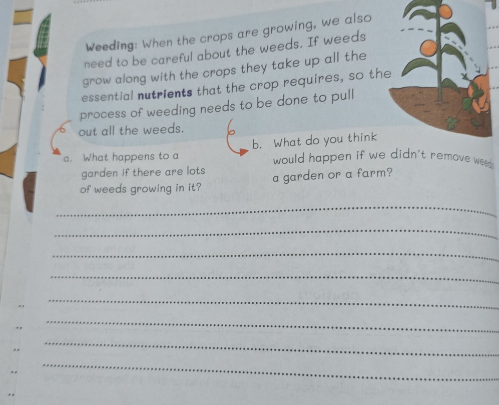 Weeding: When the crops are growing, we also | StudyX