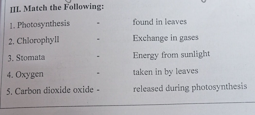 III. Match the Following: 1. Photosynthesis | StudyX