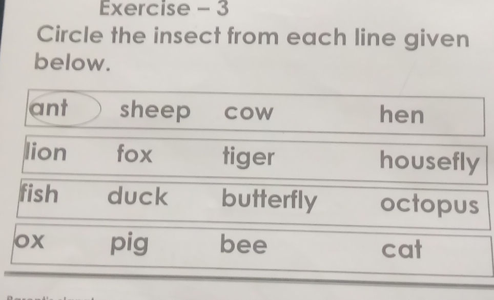 Exercise - 3 Circle the insect from each | StudyX