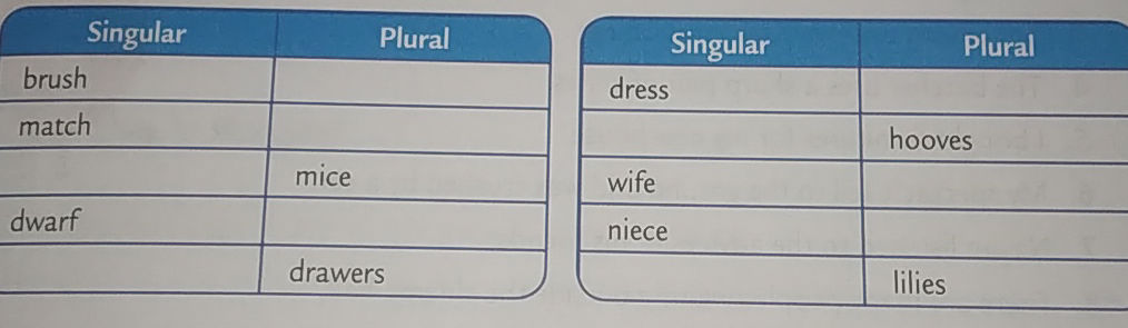 | Singular | Plural | |---|---| | brush | | | StudyX