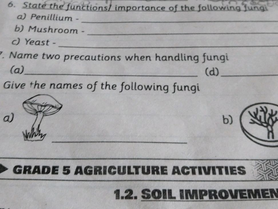 6. State the functions/ importance of the | StudyX
