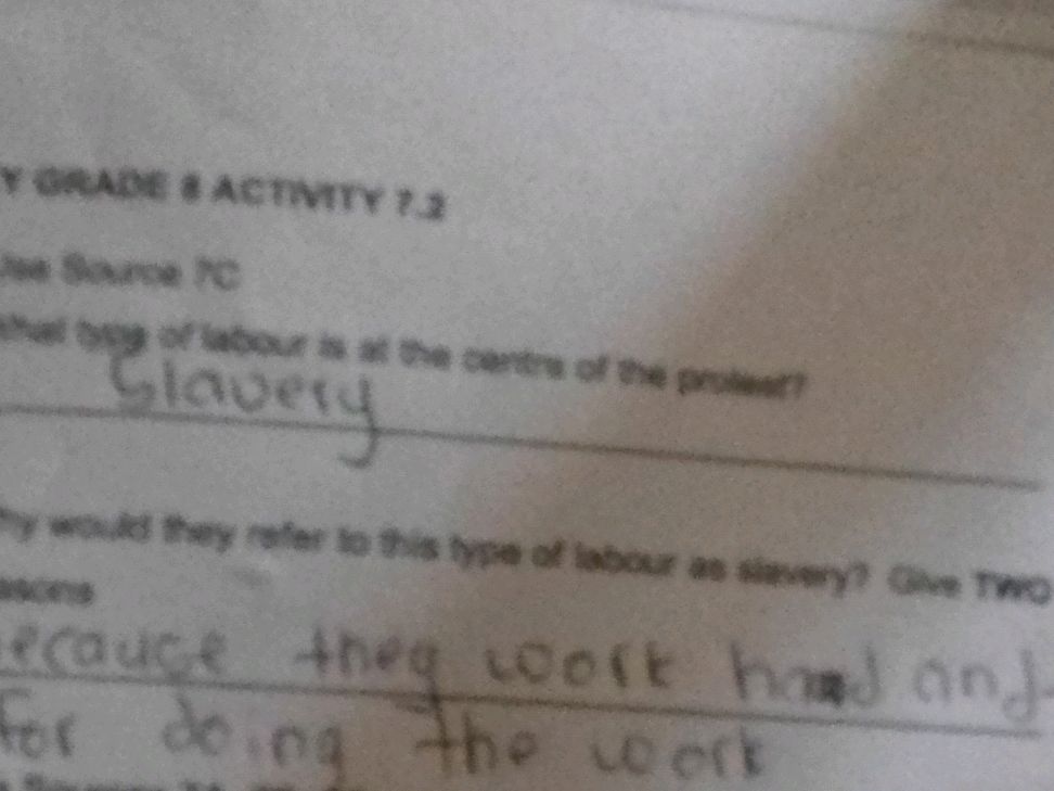 Y GRADE 8 ACTIVITY 7.2 Use Source 7C What | StudyX