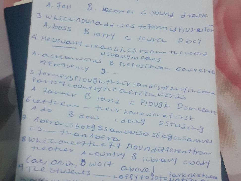 3. Which noun adds -ies to form its plural | StudyX