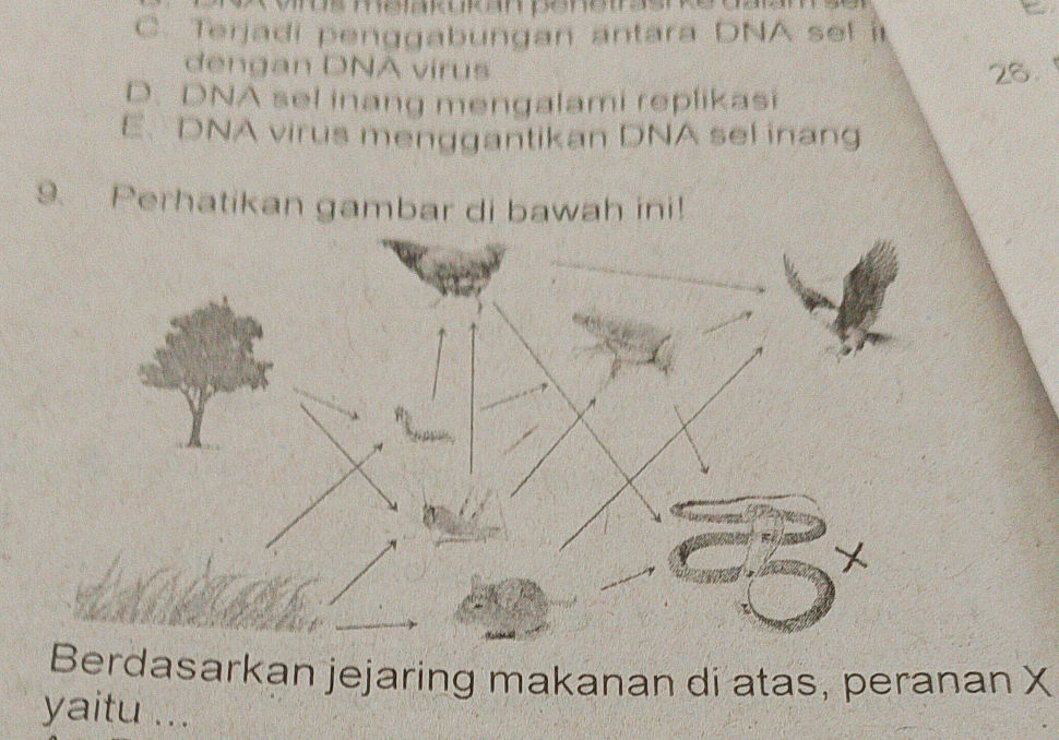 Perhatikan gambar di bawah ini! Berdasarkan | StudyX