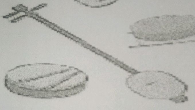 The image shows a stringed musical | StudyX