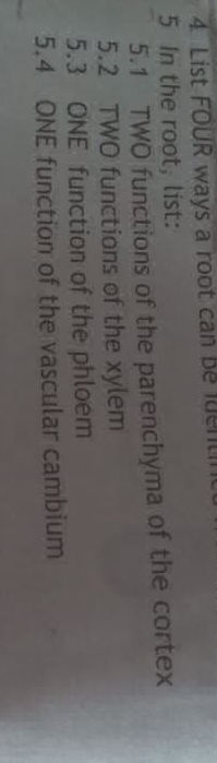 4 List FOUR ways a root can be identified. | StudyX