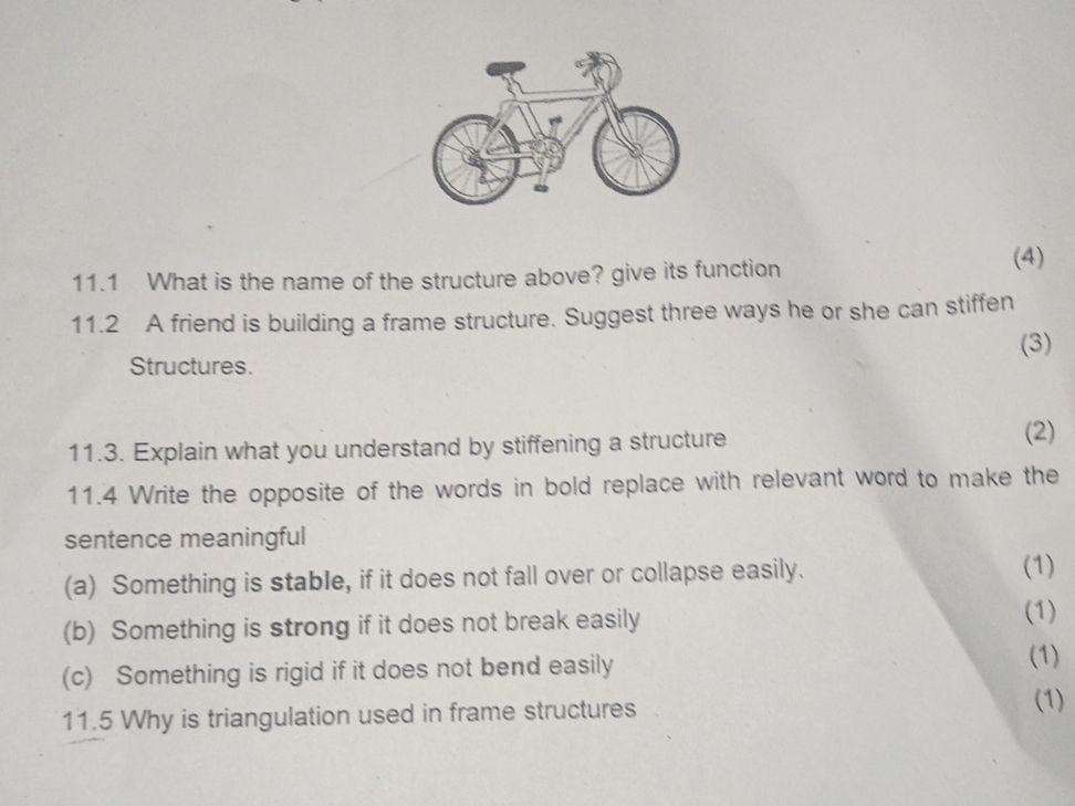 11.1 What is the name of the structure | StudyX