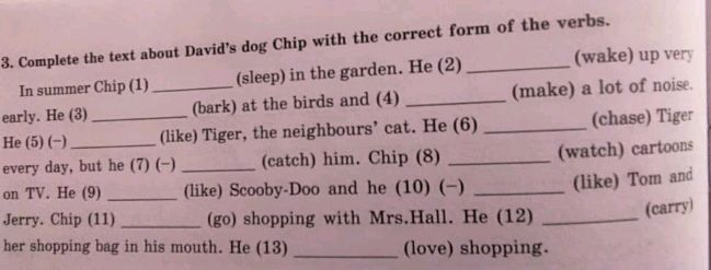 3. Complete the text about David's dog Chip | StudyX