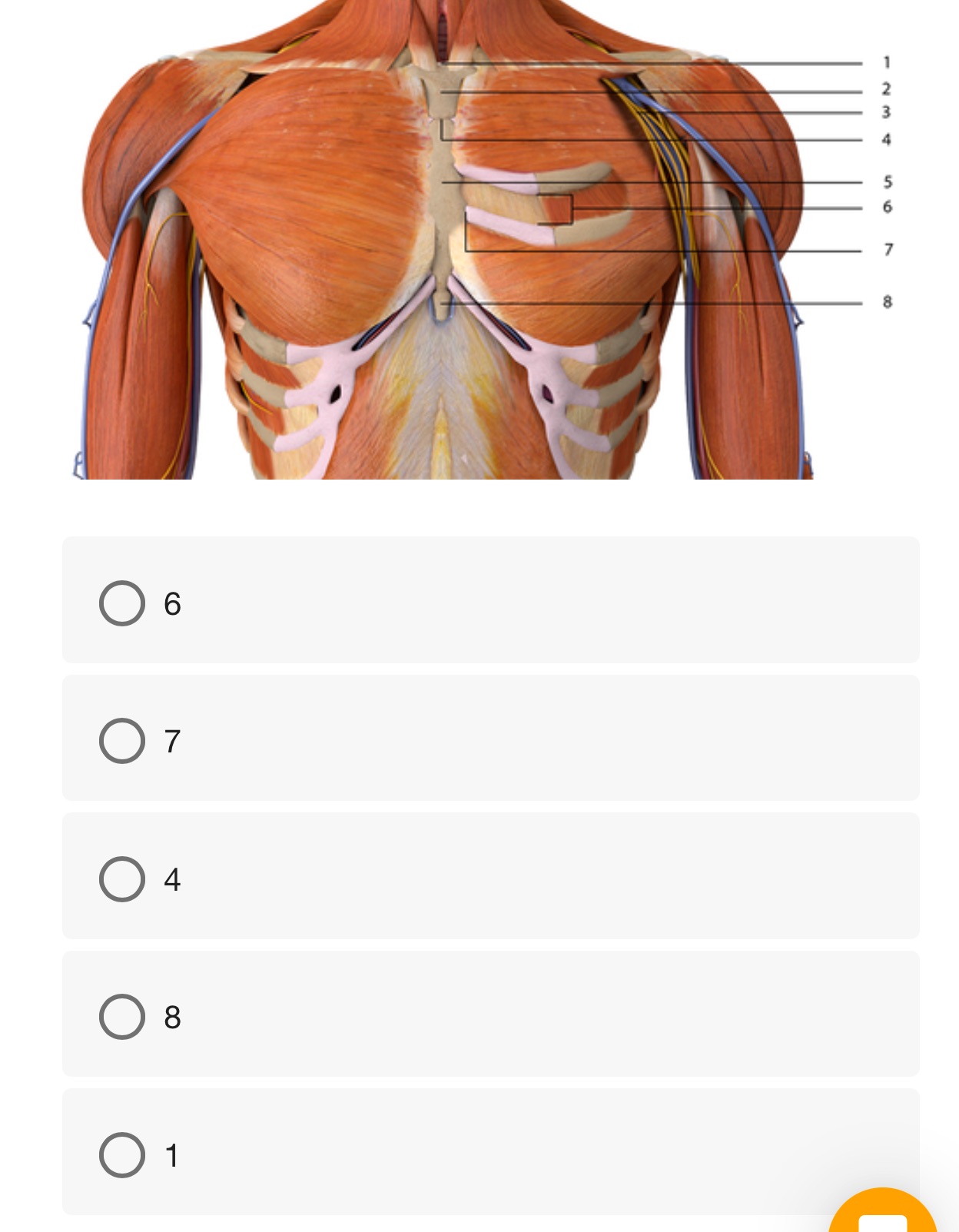 The image shows a diagram of the human | StudyX