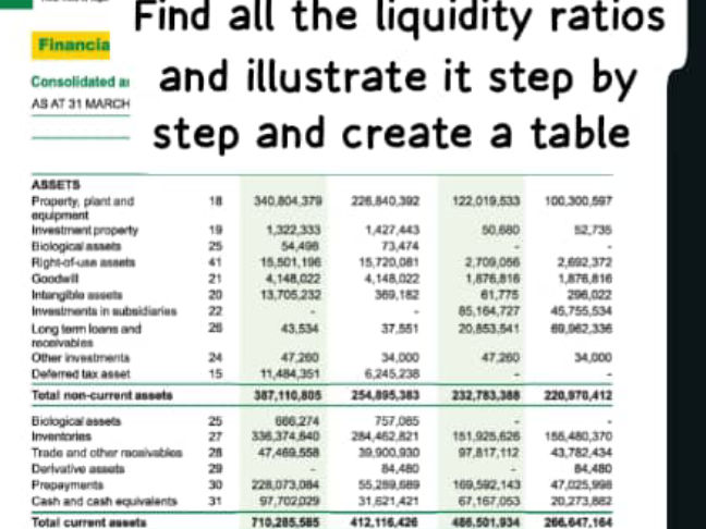 Find all the liquidity ratios and illustrate | StudyX