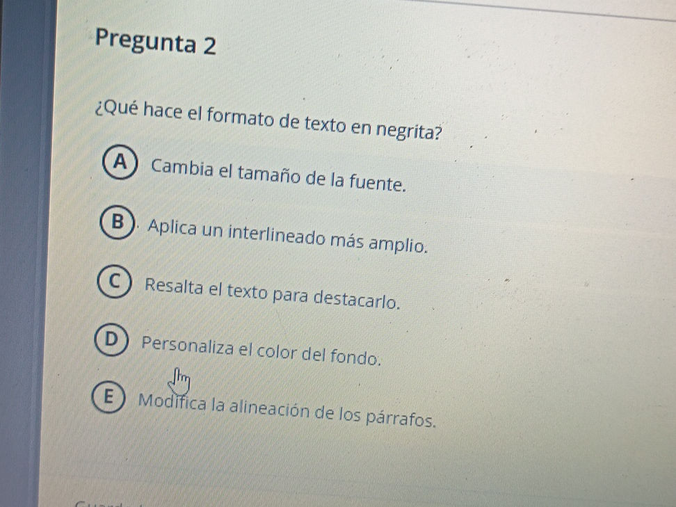¿Qué hace el formato de texto en negrita? | StudyX