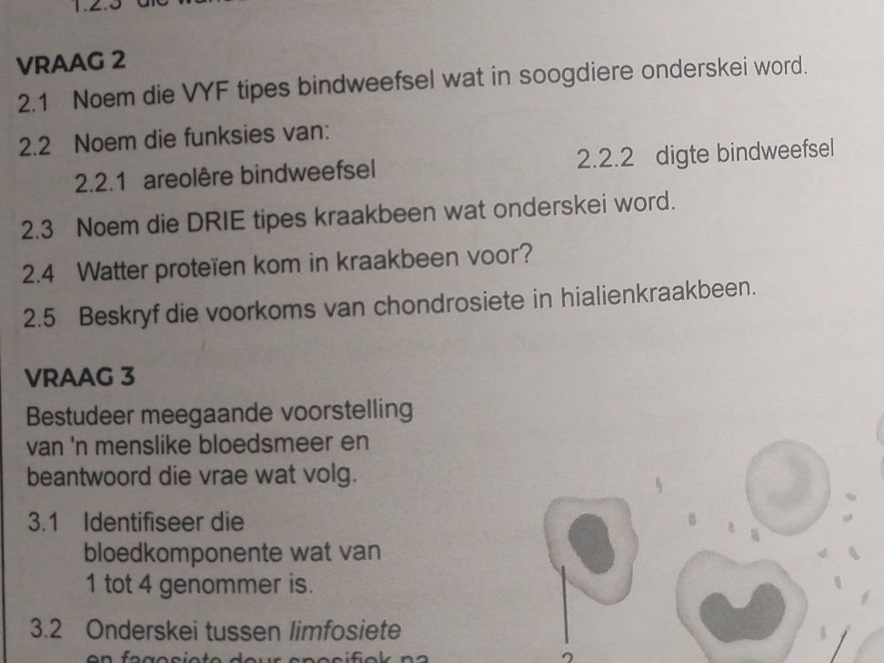 VRAAG 2 2.1 Noem die VYF tipes bindweefsel | StudyX