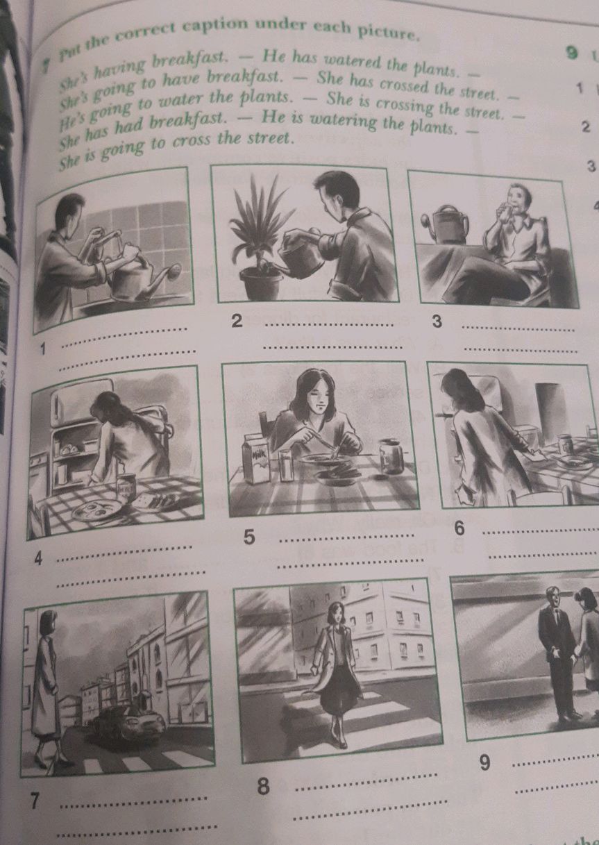 Put the correct caption under each picture. | StudyX