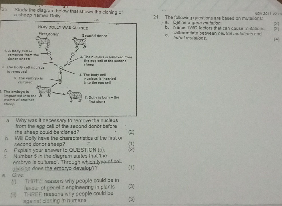 25. Study the diagram below that shows the | StudyX