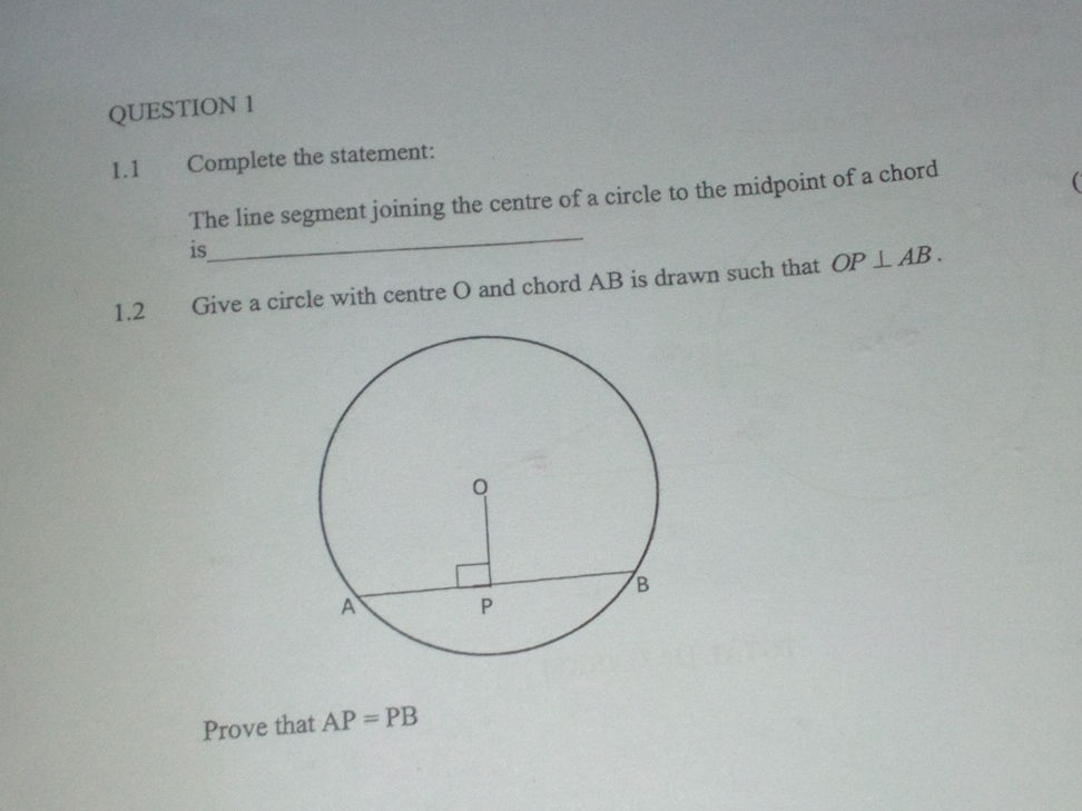 1.1 Complete the statement: The line segment | StudyX