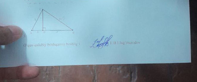 The image contains a triangle with a height | StudyX