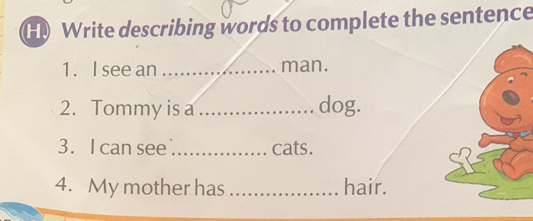 Write describing words to complete the | StudyX