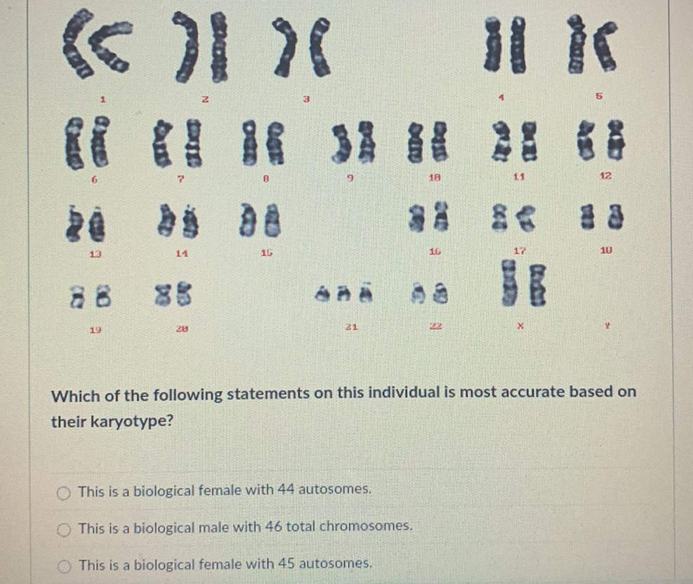 Which of the following statements on this | StudyX