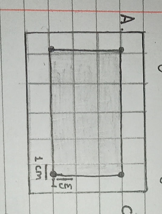 The image shows a rectangle drawn on a grid. | StudyX