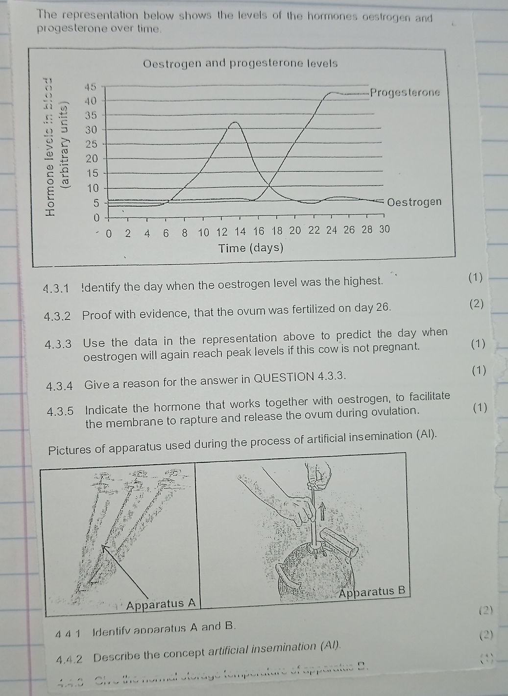 The representation below shows the levels of | StudyX