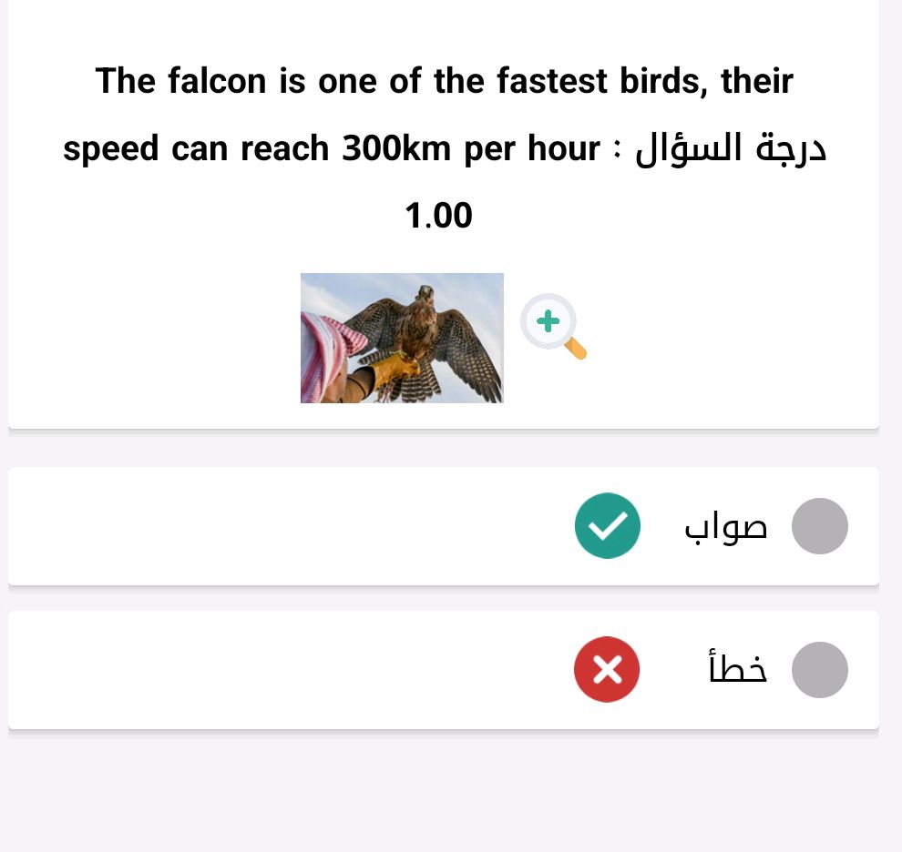 The falcon is one of the fastest birds,