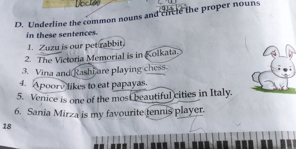 D. Underline the common nouns and circle the | StudyX