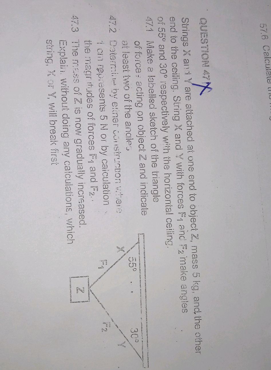Strings X and Y are attached at one end to | StudyX