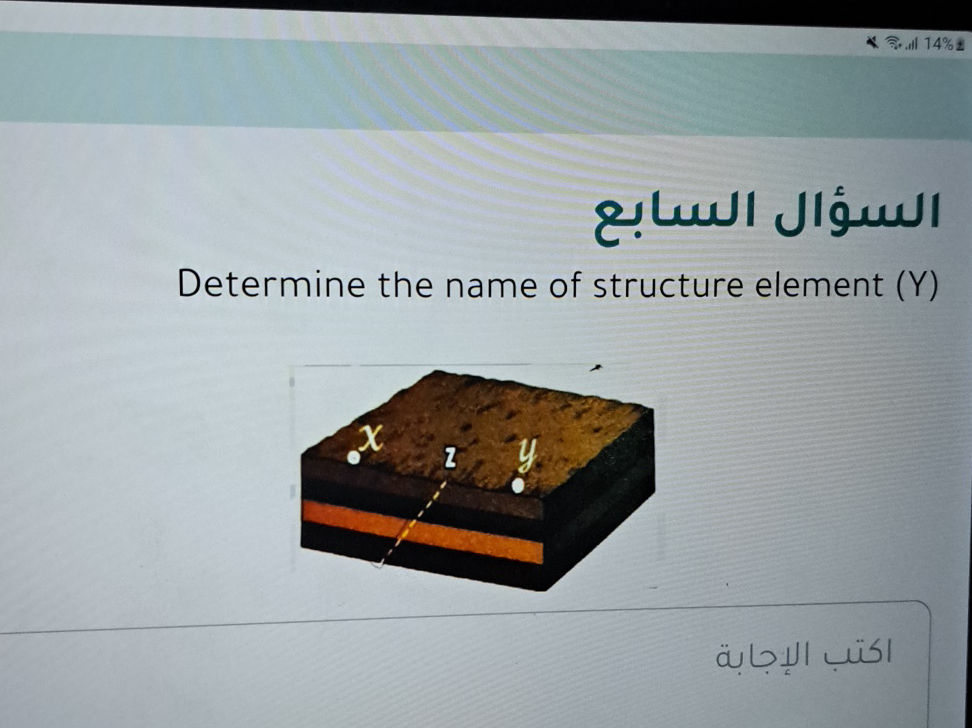 Determine the name of structure element (Y) | StudyX