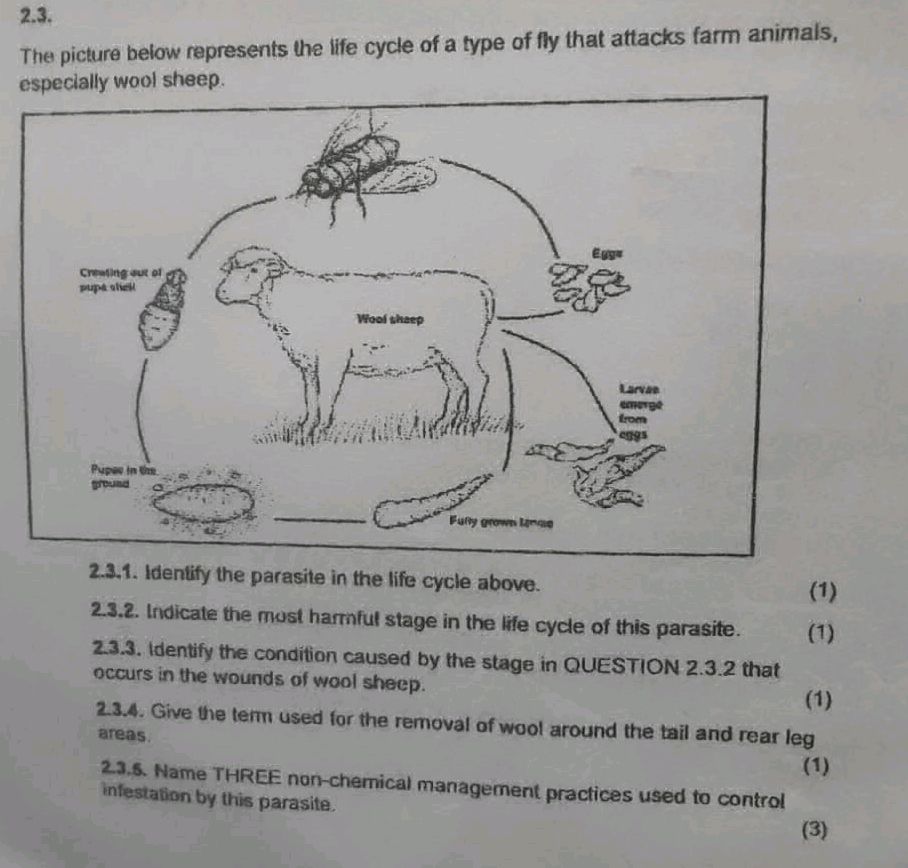 2.3. The picture below represents the life | StudyX